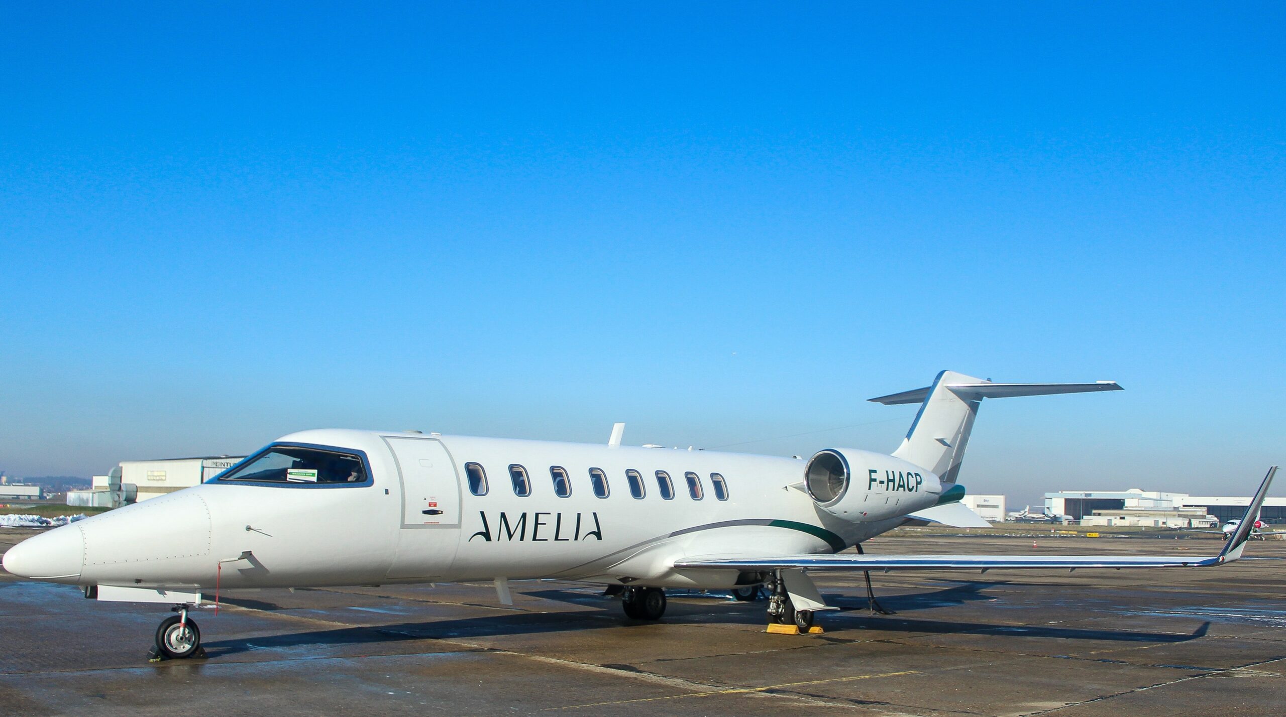 Learjet 45 VIP/MEDEVAC – Amelia by Regourd Aviation